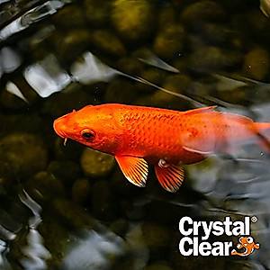 CrystalClear PondAir 4, Aeration Kit for Water Gardens & Koi Fish Ponds up to 2,000 Gallons, Quiet & Energy Efficient, Made for Year-Round Use to Maintain Clean & Clear Water