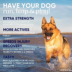 Vetrinex Labs Joint Support Supplement for Large Dogs - Hip and Joint Chewable Tablets for Large Breed Dogs with Glucosamine, Chondroitin, and MSM, Beef Flavor, 120 Tablets