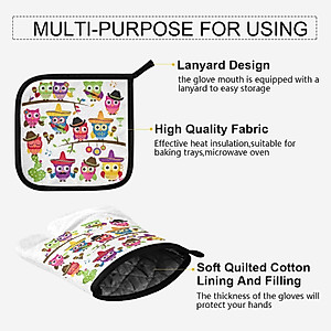 Oven Mitts Set Cinco De Mayo Owl Birds Pot Holders Spring Summer Kitchen Oven Glove Baking Mitts 2PCS Cooking Stove Gloves Potholders Heat Resistance Hot Pads for Grilling BBQ Holiday Decor Gift