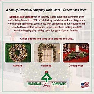 National Tree Company Pre-Lit Artificial Mini Christmas Tree, Green, Dunhill Fir, White Lights, Includes Stand, 4.5 Feet