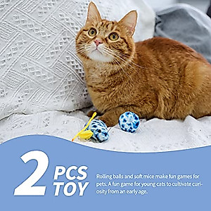 PAWISE Kitty Litter Box Set Includes 4-Pieces - Shallow Cat Litter Pan, Cat Litter Scooper, Cat Bowls, Cat Mouse Toy, 14.5x10.5 Inches, Blue