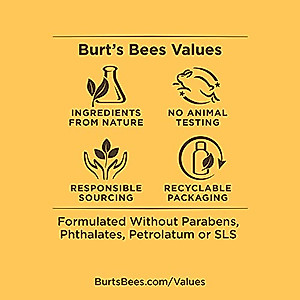 Burt's Bees Micellar Facial Cleansing Water with Rose Water, 8 Oz(Pack of 1)