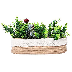 Toilet Tank Topper Paper Basket, Storage for Toilet Tank, Bathroom Baskets Tray, Toilet Baskets for Boho Bathroom Decor, Small Woven Baskets for Organizing, 13.5"x5.9"x4" (Brown-Fringe)