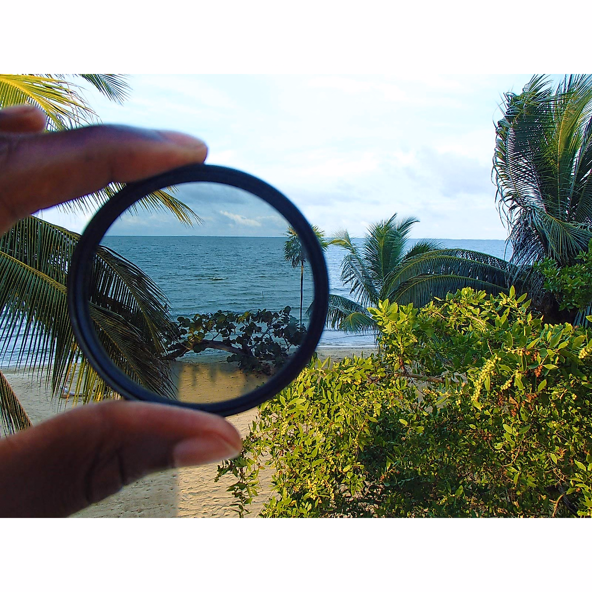 77mm Multi-Coated 3 Piece Filter Kit (UV-CPL-FLD) for Nikon COOLPIX P1000 16.7 Digital Camera