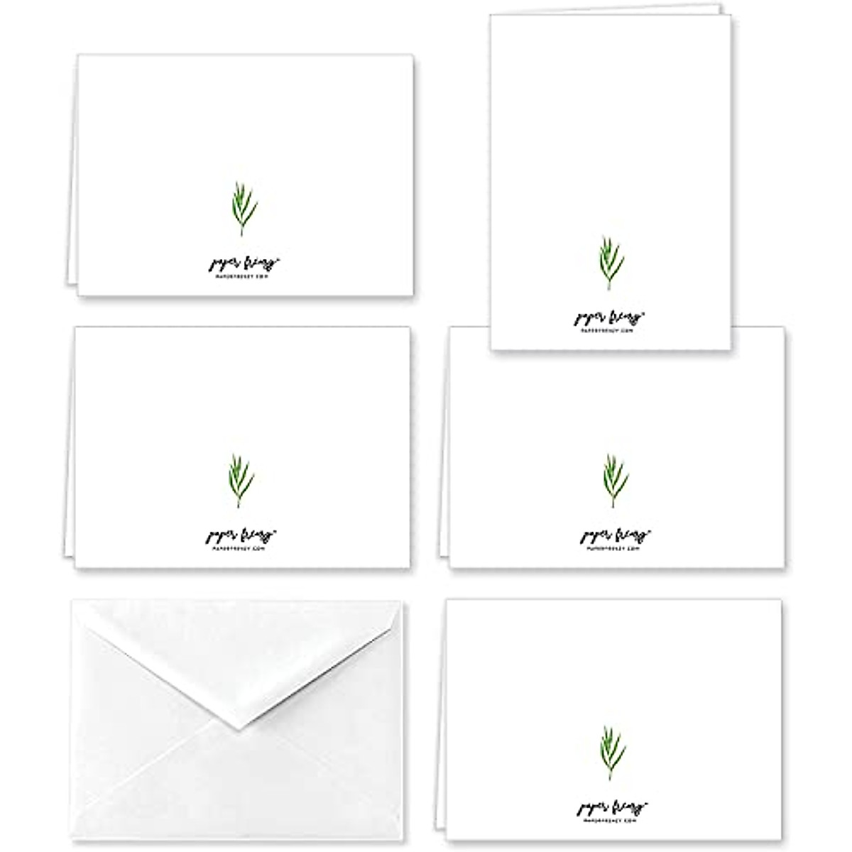 Paper Frenzy Elegant Ferns Thank You Note Cards and Envelopes - 25 pack