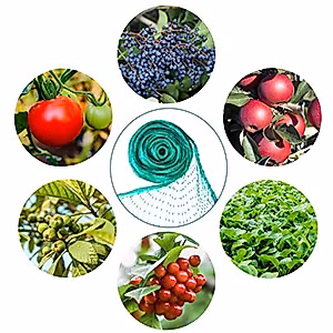 YHmall Bird Netting 13 x 33 Feet, Green Plant Garden Netting Reusable Heavy Duty, Fruit Tree Netting with 50 Pcs Cable Ties Protect Fruit Trees Blueberries Plants and Vegetables from Birds and Animals