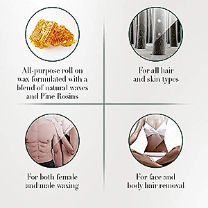 Clean + Easy® Waxing Spa Basic Kit (120V), Top Pick Complete Face and Body Hair Removal Essentials for a Smooth, Flawless, Hair-Free Skin for Weeks