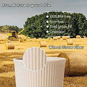 Wheat Straw Dinnerware Sets - Yellow Dinnerware Set w/Wheat Straw Plates, Bowls & Utensils – Safe for Microwave & Dishwasher, Set of 4