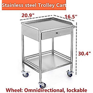 TFCFL 2-Layer Lab Cart, Stainless Steel, 20.9" x 16.5" x 34", 28kg, 4 Lockable Wheels, Omnidirectional, Wide Applications