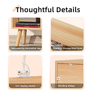 LEYAOYAO 4 Cube Bookshelf, 2-Tier Bookcase with Legs, Natural Kids Book Shelf Cute Storage Organizer, Free Standing Open Toy Shelves Modern Bookshelves,Wood Display Bookcases for Bedroom,Living Room