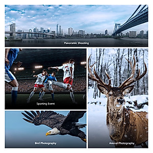 Neewer GM100 Professional Heavy Duty Carbon Fiber Gimbal Tripod Head with 1/4” Quick Release Plate, Bearing Structure Supports Smoother 360 Degree Panoramic Shooting for DSLR Camera Up to 30lbs/13.6kg