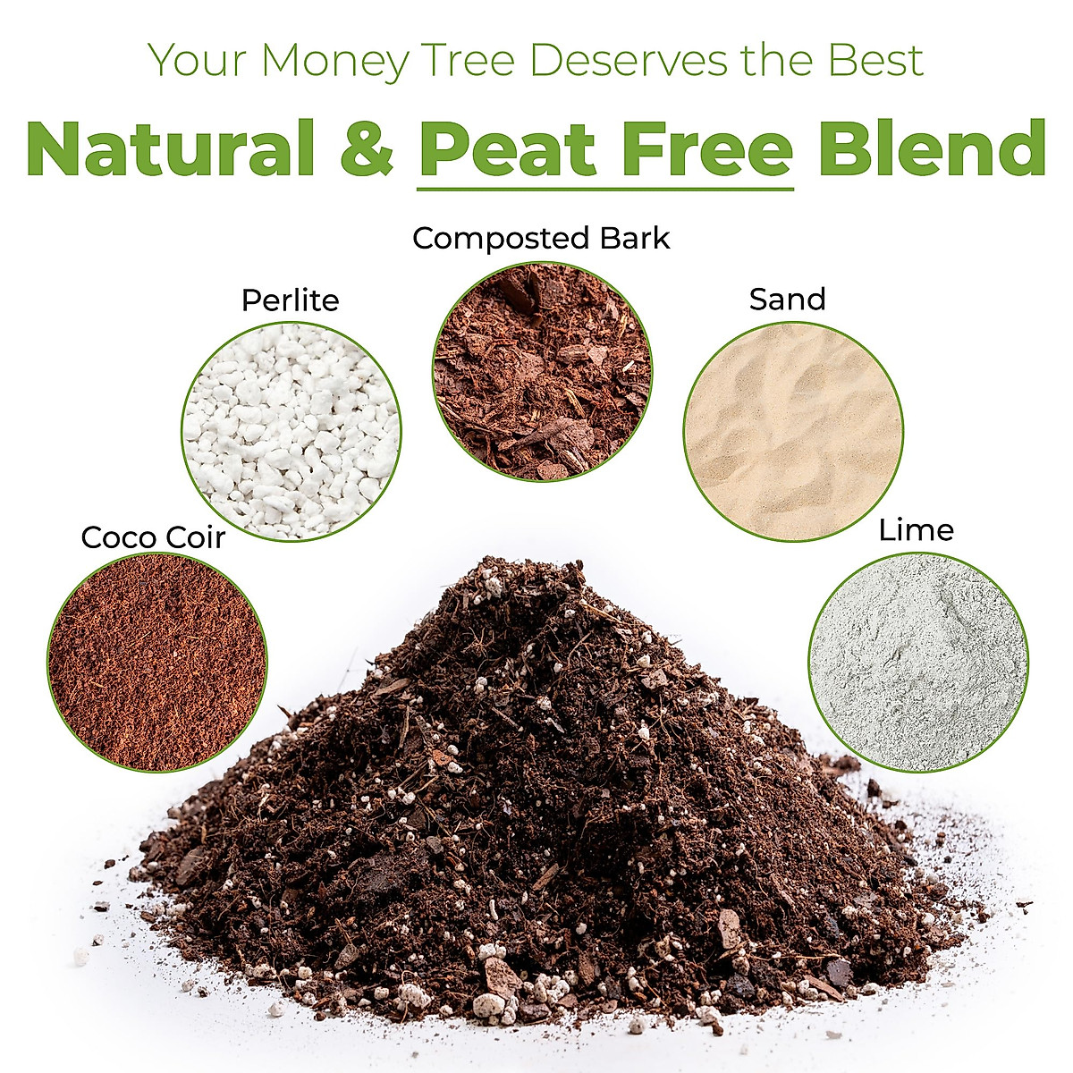 Perfect Plants Money Tree Potting Soil 2qt | Organic Coco Coir Based Plant Mix for Indoor Trees | Quickly Grow Your Indoor Forest (2qts.)