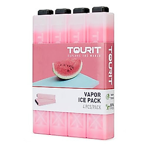 TOURIT Ice Packs for Coolers Reusable Long Lasting Freezer Packs for Lunch Bags/Boxes, Cooler Backpack, Camping, Beach, Picnics, Fishing and More (Set of 4, Red)