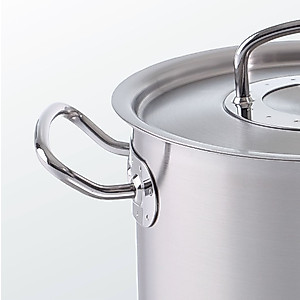 Fissler Original-Profi Collection 2019 Stainless Steel High Stock Pot, 14.8 Quart
