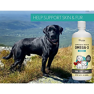 Camelina Oil for Dogs & Cats, 500mL by Olimega Farm | High in Omega-3 & Vitamin E | Support for Healthy Joints, Coat & Skin | Alternative to Salmon Oil for Dogs | Made in Canada | Pack of 2