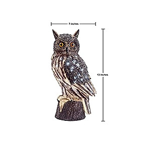 VA Horned Eagle Owl Resin Statue, Fake Owl, Fake Statue, Fake Owls, Garden Owl, Owl Décor, Realistic Owl, Owl Yard Décor, Owl.