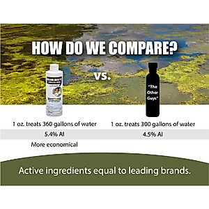 Bloom Buster Algae Control for Fish Ponds & Water Gardens - 8 Ounces - Safe for Koi Fish, Goldfish & Plants - Controls Algae in Ponds & Water Features, EPA Registered