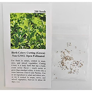 David's Garden Seeds Herb Celery Cutting 9225 (Green) 200 Non-GMO, Heirloom Seeds