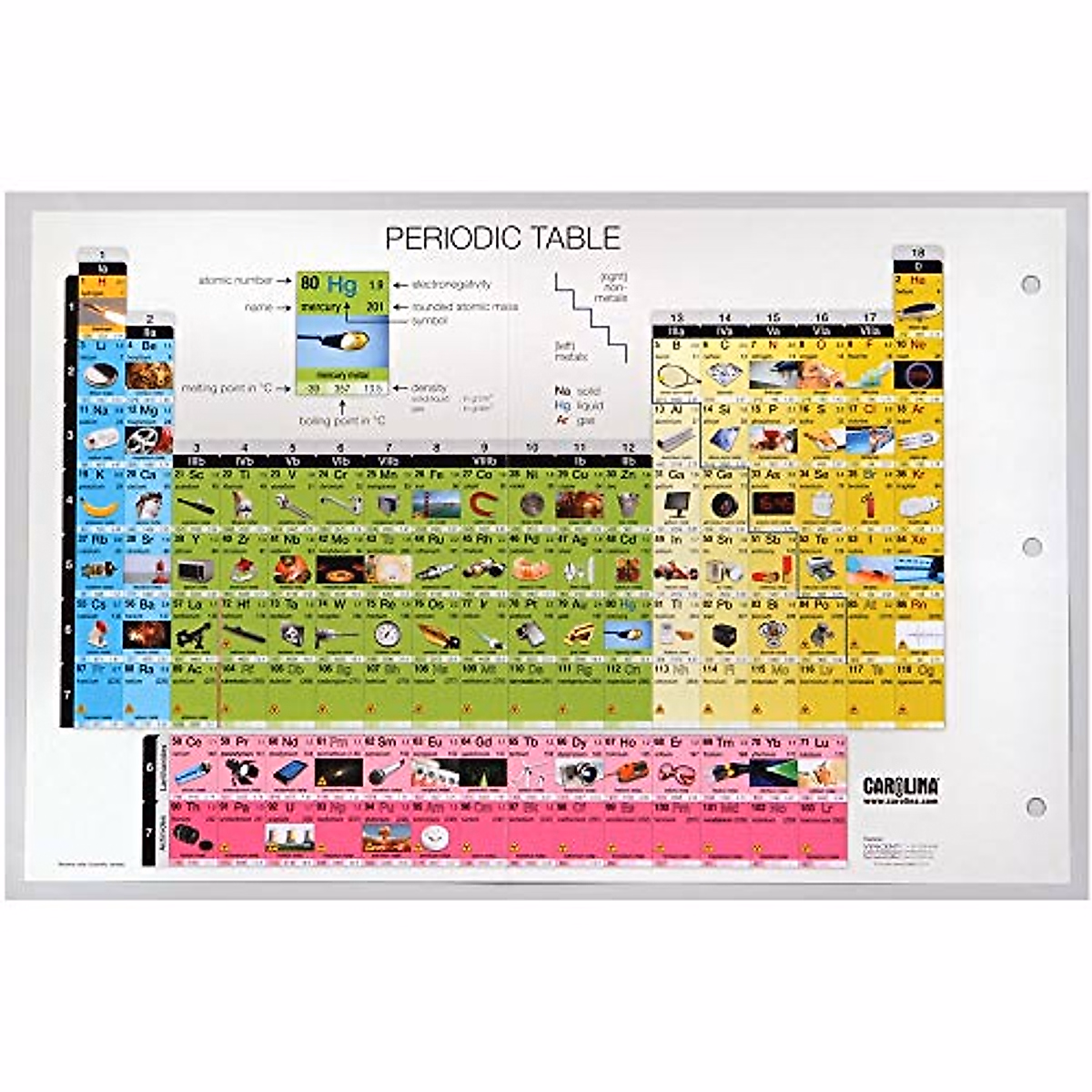 Carolina Student Infographic Periodic Table