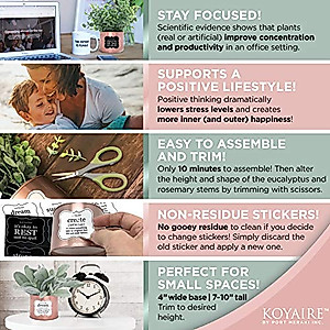 KOYAIRE 3 Motivational Faux Plants for Desk - Rose Gold Decor for Office - Small Home Office Accessories - Desk Decorations - Pink Office Gifts