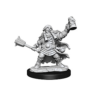 D&D Frameworks: Dwarf Cleric Female - Unpainted and Unassembled