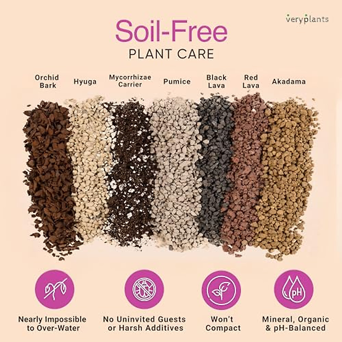 Molly's Succulent Mix - Premium Gritty Soilless Potting Mix for Succulents, Cactus and Bonsai - Contains Akadama, Hyuga, Bark Fines, Pumice, Lava Rock, Mycorrhizae 3.3 Liters