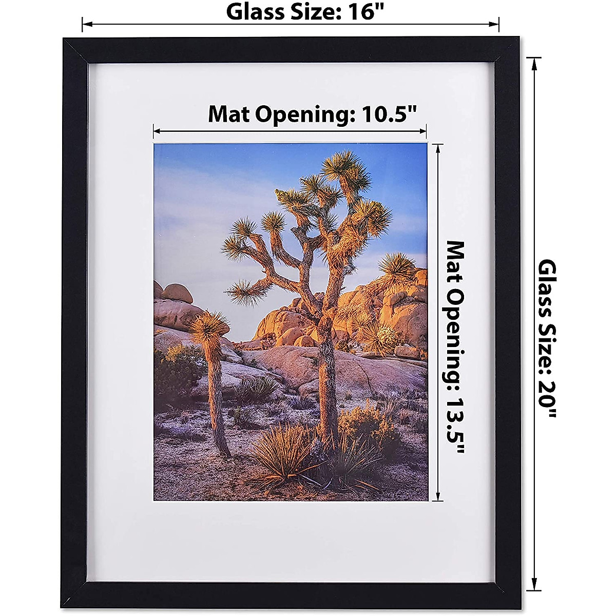 skyDrama Black 16x20 Picture Frames matted to 11x14 Photos, Polystyrene Glass for Wall Hanging-2 Sets.
