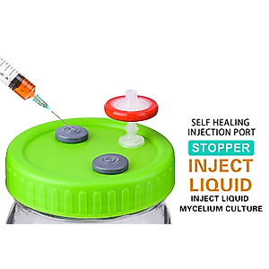Eleganttime 8Pcs Wide Mouth Liquid Culture Lids,Cultivation Mason Jar Lid with 0.22um PTFE Syringe Filter & 20mm Self Healing Injection Ports For Mushroom(Green)