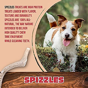 Spizzles Elk Antler Dog Chew Solid, Long Lasting Bone for Small Breed Aggressive Chewers, All Natural, No Odor, No Mess, No Preservatives, USA, 4 inch