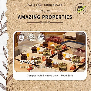 BIOZOYG | 9x6 inch Rectangle Shallow Tray 50 pcs | Disposable Trays for Party | Like Bamboo Tray| Palm leaf Serveware | Compostable Serveware | Picnic Party Serveware better than Paper Trays
