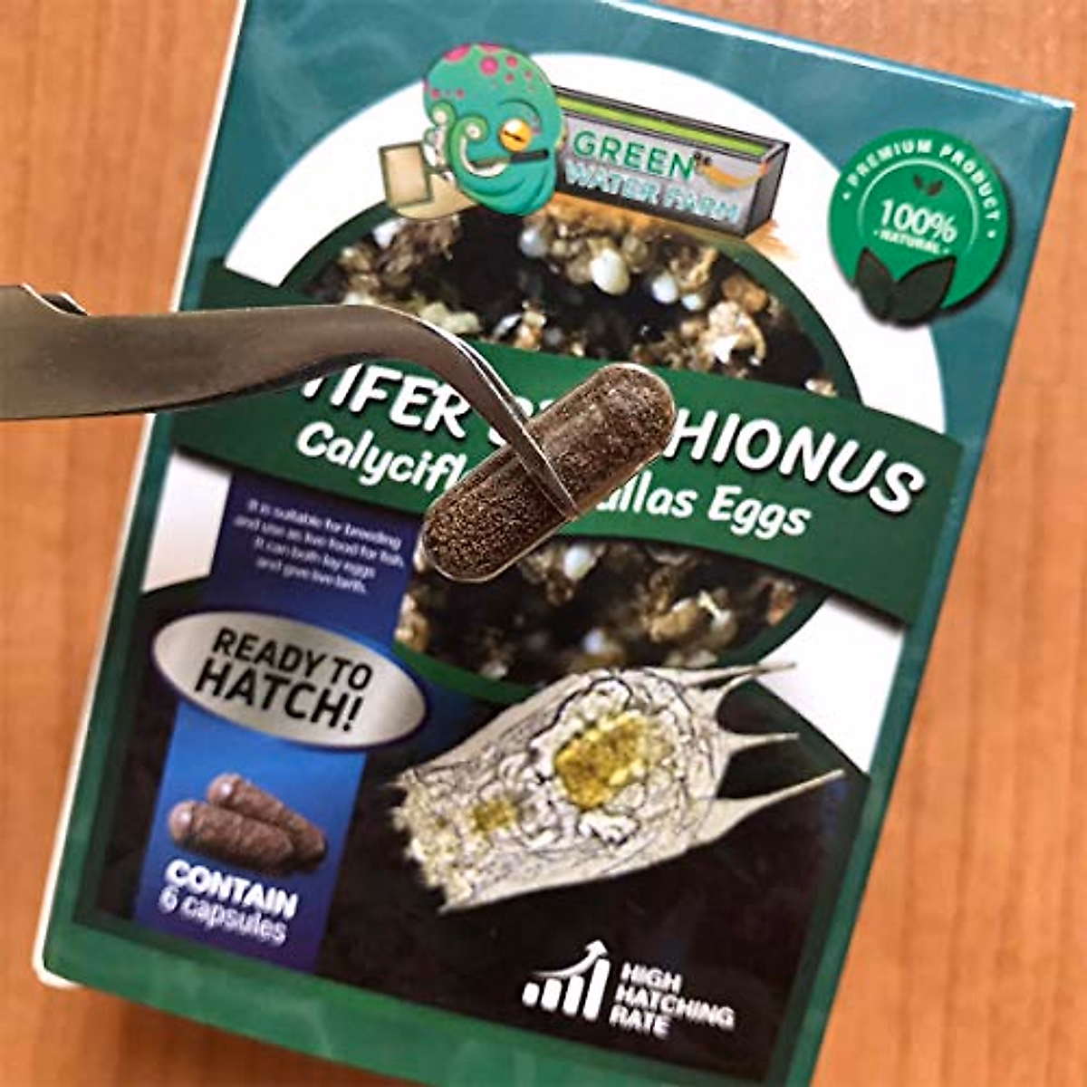 GREEN WATER FARM Rotifers Brachionus calyciflorus Pallas Eggs Live Fish Food for Hatching and Culture Suitable for Feed Betta Fish