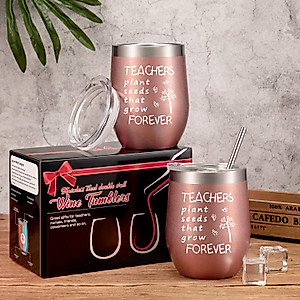 Boao 2 Pack Teacher Appreciation Gifts for Women, Novelty Birthday Thank You Gift Graduation Gift for Teachers, Teachers Plant Seeds That Grow Forever, Insulate Tumbler 12 oz (Rose Gold)