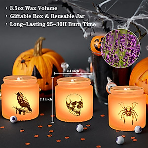 Homsolver Halloween Candles, Halloween Decorations Indoor Decor Gifts, Hallloween Spooky Skull Crow Spider Candles, Halloween Home Decor Indoor - Hallloween Lavender 3 Candles Set with LED Light