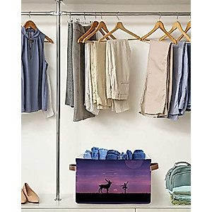 1 Pack Forest Deer Cube Storage Organizer Bins with Handles,Collapsible Canvas Cloth Fabric Storage Basket,Wild Purple Starry Sky Sunset Dancing Women Books Kids' Toys Bin Boxes for Shelves,Closet
