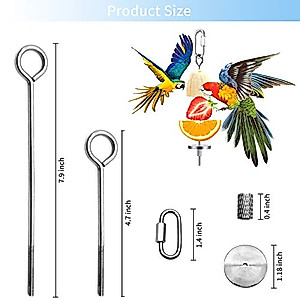 3Pcs Bird Food Holder, Bird Feeder Toy, Stainless Steel Small Animal Fruit Vegetable Stick Skewer, Foraging Hanging Food Feeding Treating Tool for Parrots Cockatoo Cockatiel Cage