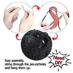 Glitter Older Wiser Hotter Banner, Death to My Youth 30th Birthday Banner Decorations, Funny 30th Birthday Party Decorations for Women (Black)