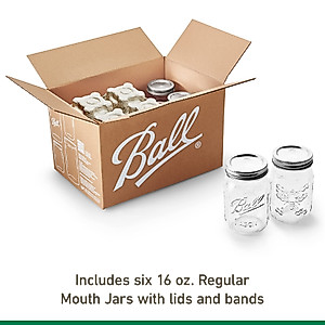 Ball Honeybee Keepsake Mason Jars with Lids and Bands