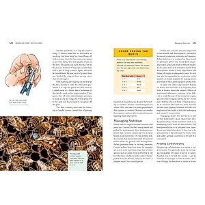 Storey's Guide to Keeping Honey Bees, 2nd Edition: Honey Production, Pollination, Health (Storey’s Guide to Raising)