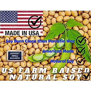 Soy Wax Melts| Made in USA | Plant Based Soy Wax | Amber and Sandalwood Soy Wax Cubes | 2 Packs | Net Weight 5 oz. (141 Grams) | 12 Scented Wax Cubes | Wax Cubes for Wax Warmer | Cozy Candlebox