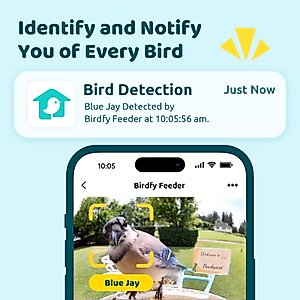 NETVUE Birdfy Lite Camera with Solar Panel