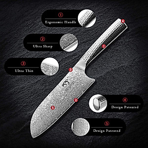 3 Pieces Damascus Kitchen Knife Set with 8” Chef Knife, 7” Santoku Knife, 3.5” Paring Knife, 67 Layer Handmade Damascus VG10 Steel Core, Hammered Ergonomic Handle (Gift Box)