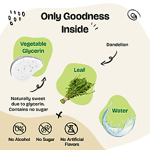 Dandelion Leaf Drops for Dogs - Kidney Health Supplement for Large, Medium & Small Dogs - Kidney Cleanse Detox Drops w/Dandelion Leaves - Dog Food Supplements for Natural Pet Kidney Support - 4 oz