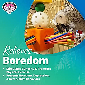 Super Bird Creations SB513 Willy Nilly Bird Toy, Medium/Large Bird Size, 14" x 6.5"