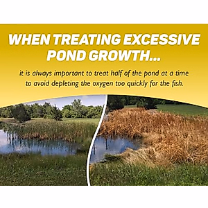CattPlex Pro - Aquatic Herbicide - Kills Cattails, Water Lilies, Grasses & More - Quart (32 Ounces)