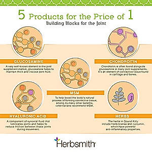 Herbsmith Sound Kitty – 5-in-1 Joint Care for Cats with Chondroitin, Glucosamine & MSM – 75g