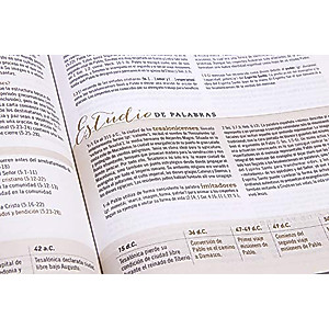 Biblia Reina Valera 1960 de Estudio para Mujeres, Tapa dura | RVR 1960 Women Study Bibl, Hardcover (Spanish Edition)