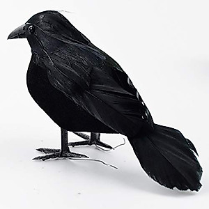 Realistic Crow, 6 PCS Halloween Black Feathered Crow Decoys Ravens Outdoor Halloween Decorations Props Décor, Standing Flying Birds for Tree Haunted House Graveyard Tombstone Display