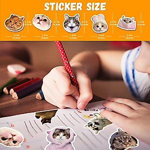 100 Pcs Cute Cat Stickers for Kids, Waterproof for Kids,Vinyl for Water Bottle,Laptop,Phone,Skateboard Stickers for KidsTeens Girls and Boys