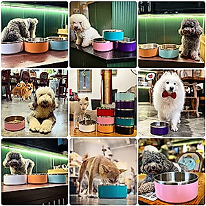 IKITCHEN Dog Bowl for Food and Water, 64 Oz Stainless Steel Pet Feeding Bowl, Durable Non-Skid Double Wall Insulated Heavy Duty with Rubber Bottom for Medium Large Dogs (64 Ounces/8 Cup, Orange)