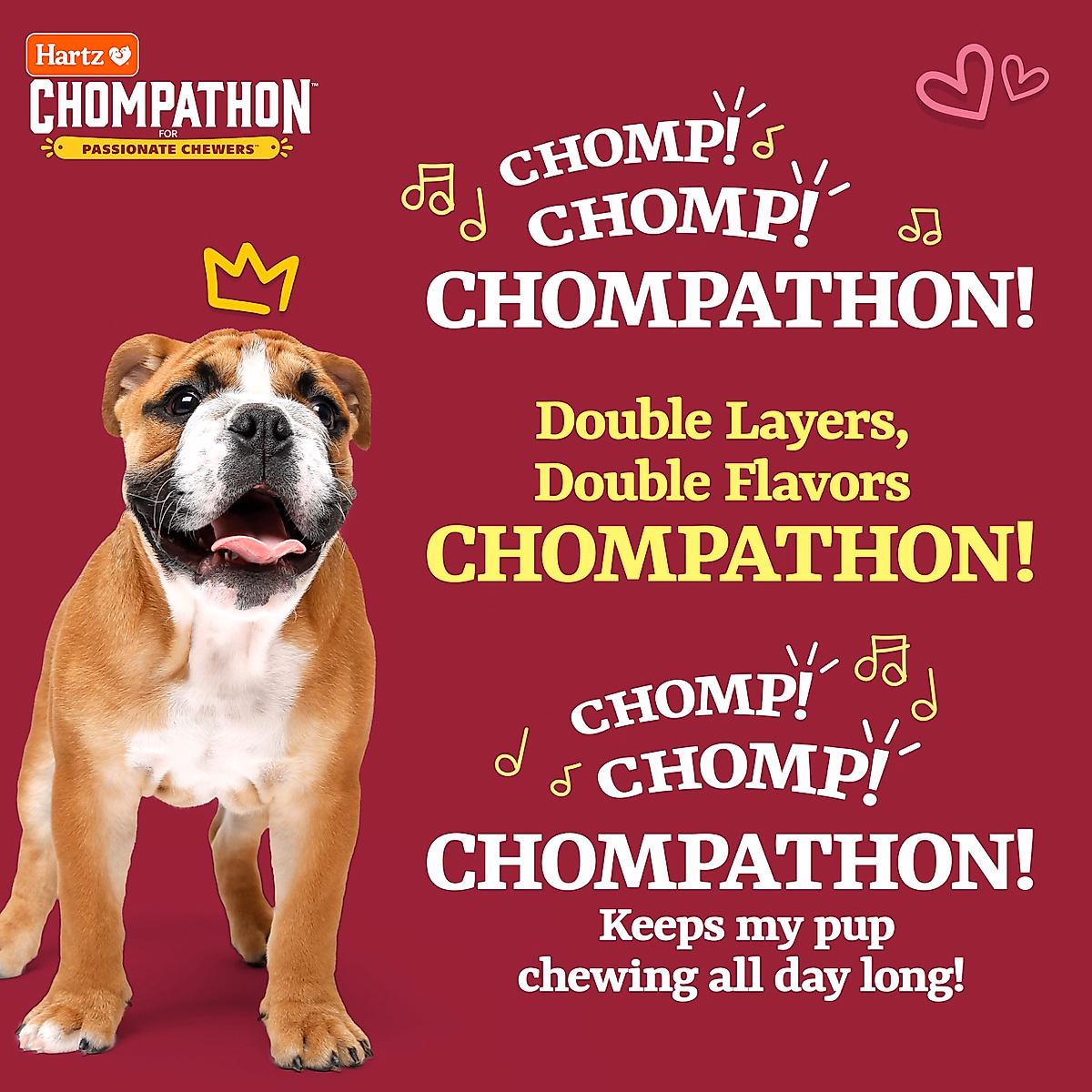 Hartz New Chompathon Gripper Bone Dog Chew Toy for Aggressive Chewers, Double Layered Flavored with Chicken & Bacon